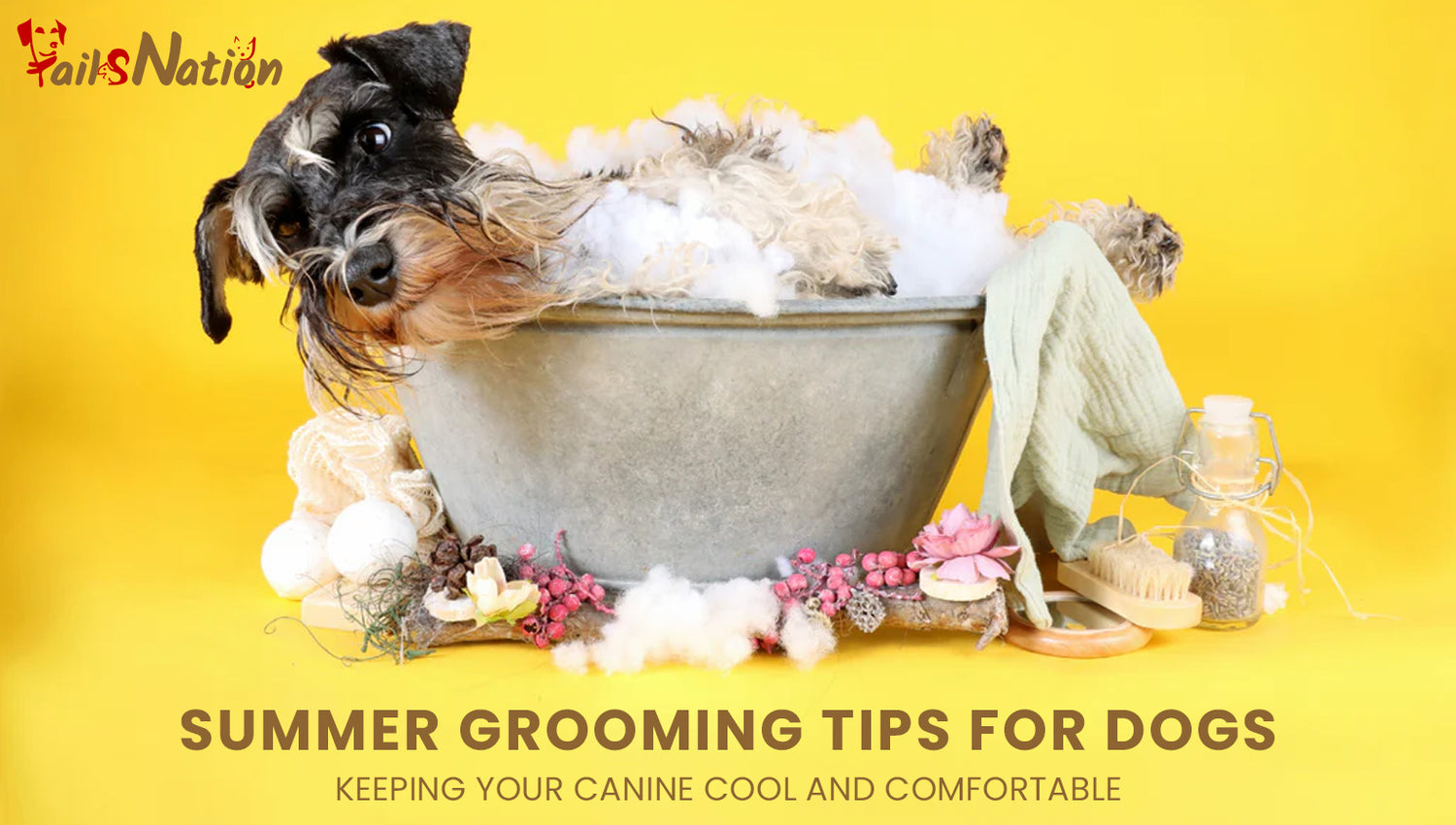 Summer Grooming Tips for Dogs: Keeping Your Canine Cool and Comfortabl