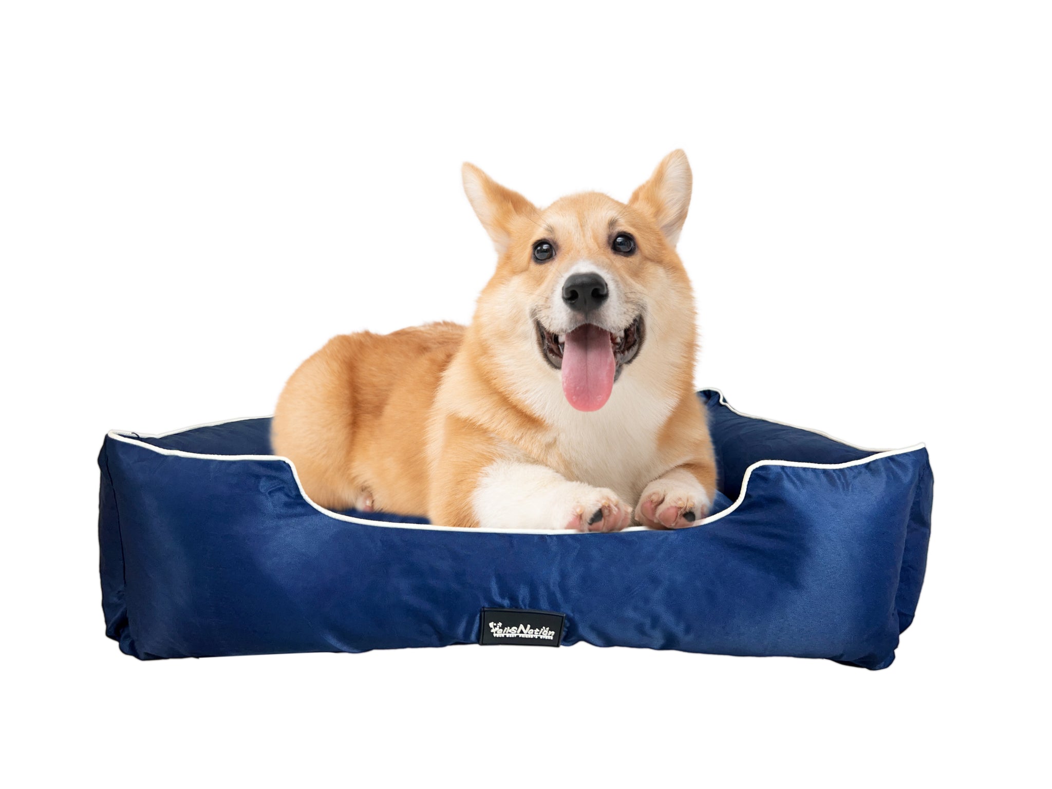 Tails Nation Waterproof Lounger Blue Bed For Dogs