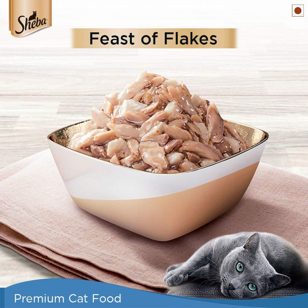 Shop Sheba Premium Wet Cat Food Online in India | Tails Nation