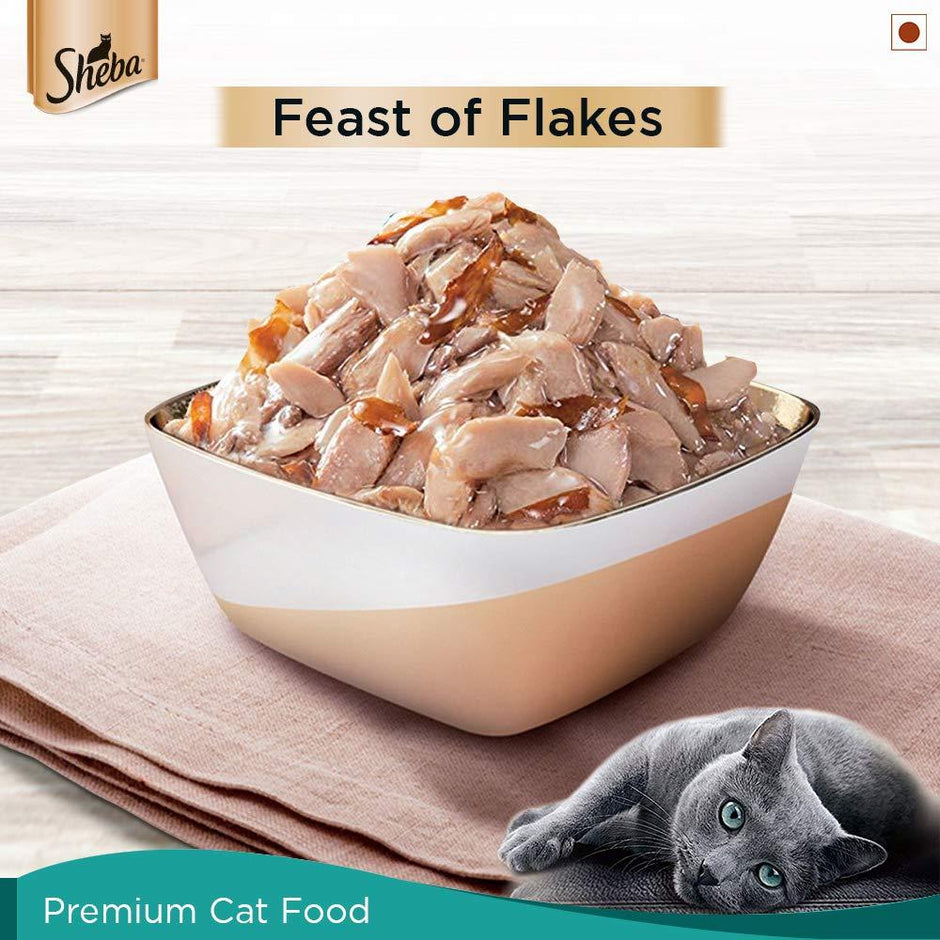 Shop Sheba Premium Wet Cat Food Online in India | Tails Nation
