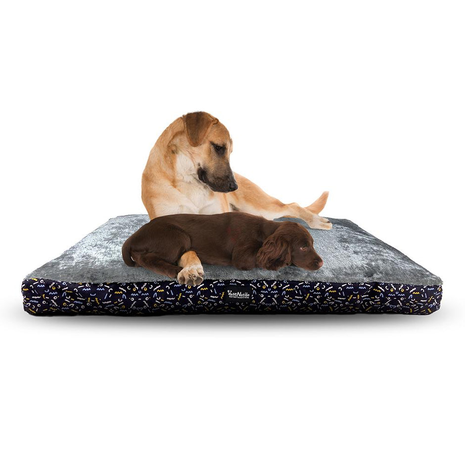 Shop High-Quality Dog Beds & Mats Online In India | Tails Nation
