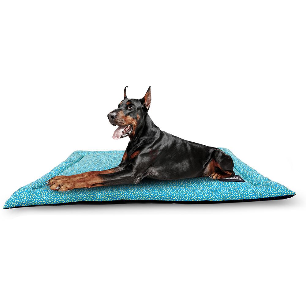 Shop High-Quality Dog Beds & Mats Online In India | Tails Nation