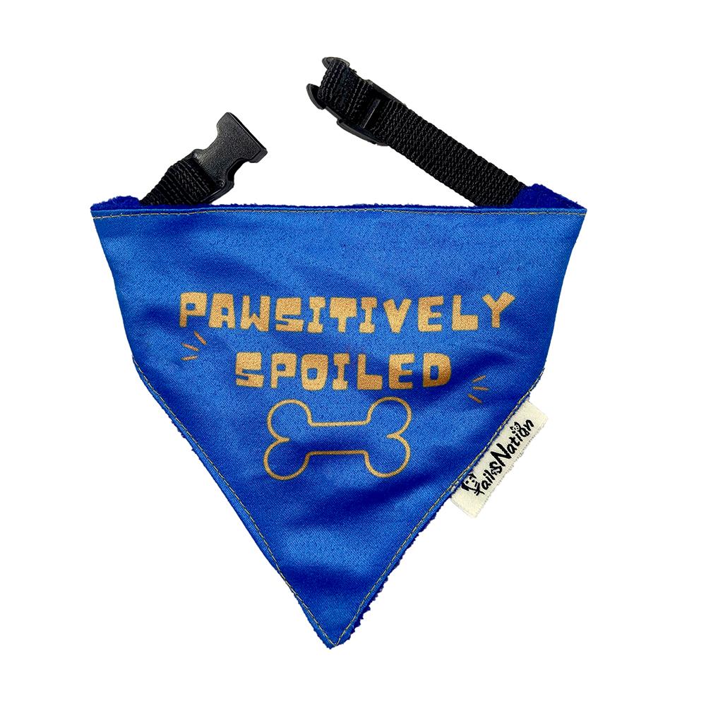Tails Nation Pawsitively Spoiled Bandana for your Pooch- Blue