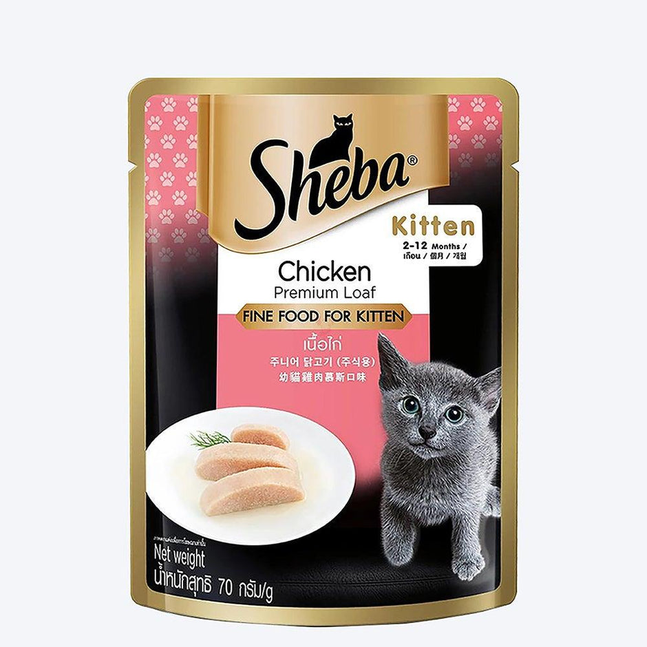 Shop Sheba Premium Wet Cat Food Online in India | Tails Nation