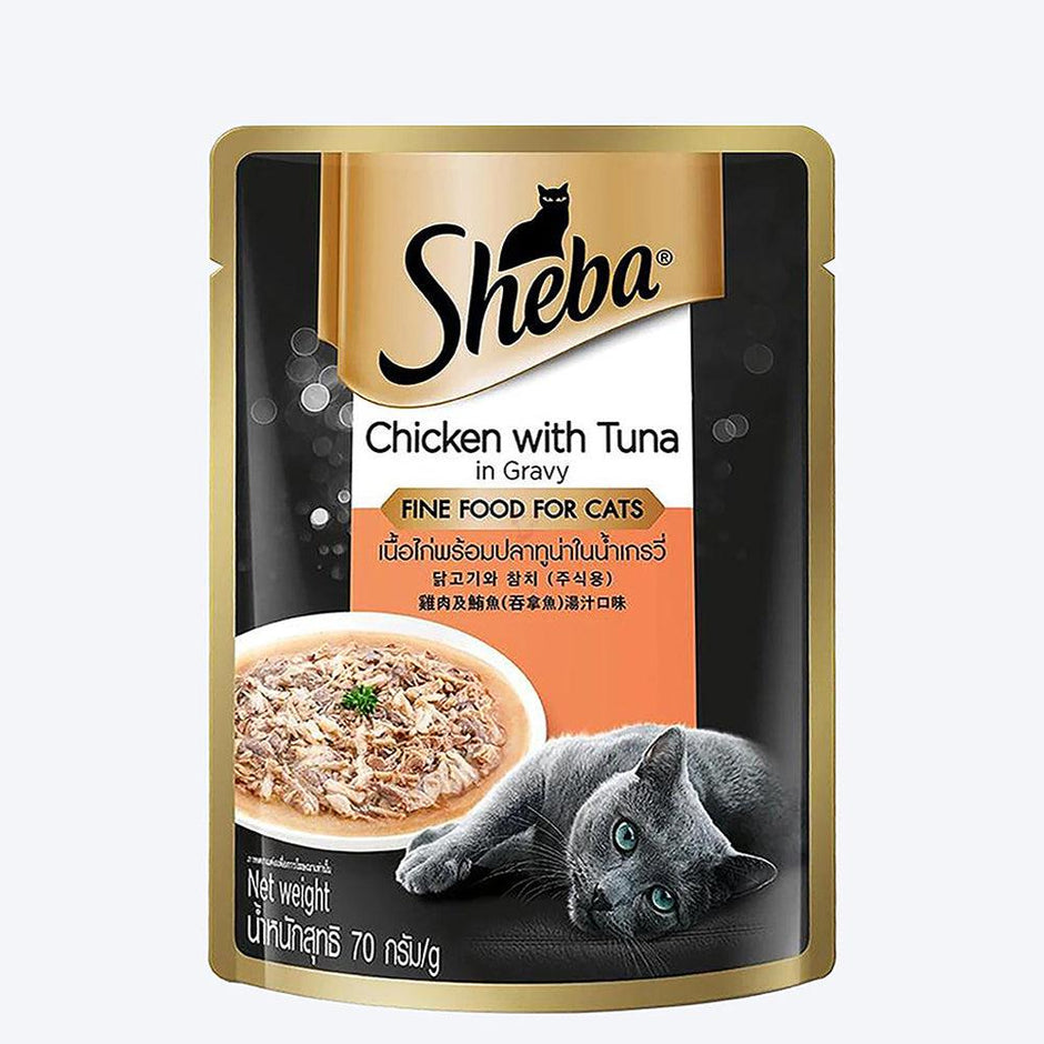 Shop Sheba Premium Wet Cat Food Online in India | Tails Nation