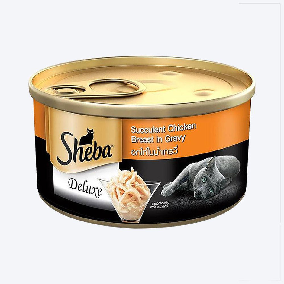 Shop Sheba Premium Wet Cat Food Online in India | Tails Nation